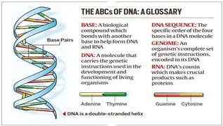 A first— how a customised gene-editing tool was used to treat 9-month ...